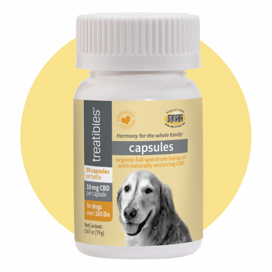 Soft Chewables Beef Liver flavor for Dogs - Treatibles CBD for pets